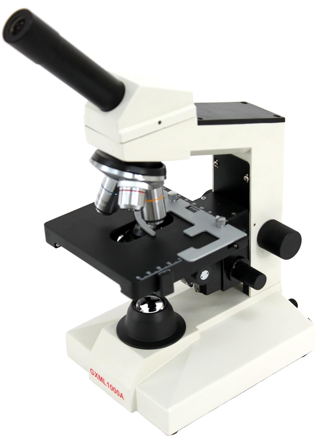 GX Microscopes L1000 Illuminated Compound Microscope, 640x ...