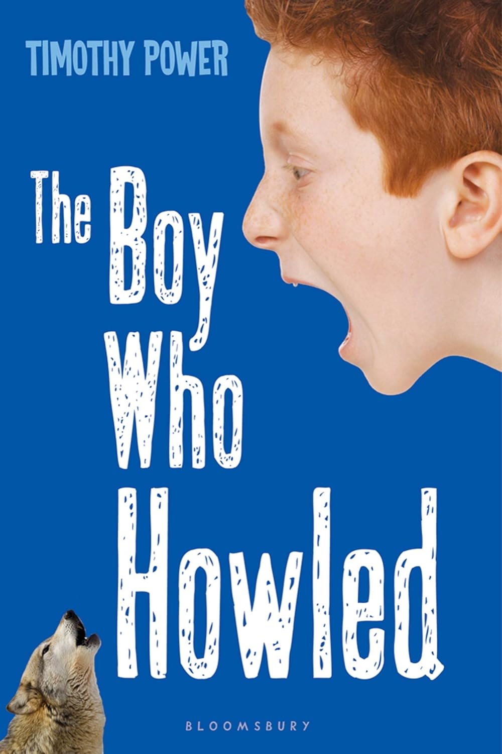 The Boy Who Howled: Power, Timothy: 9781599908526: Amazon.com: Books