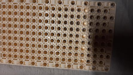 Amazon.com: SSHLKBB Technical Panel 19x11 Classic Building Base Plates ...