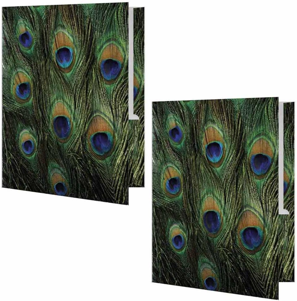 Amazon.com : Peacock Print Presentation File Folder - Set of Two ...