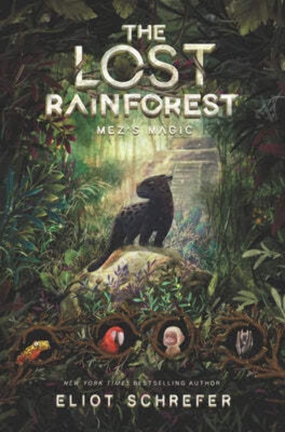 The Lost Rainforest #1: Mez's Magic: Schrefer, Eliot, Dziubak, Emilia ...