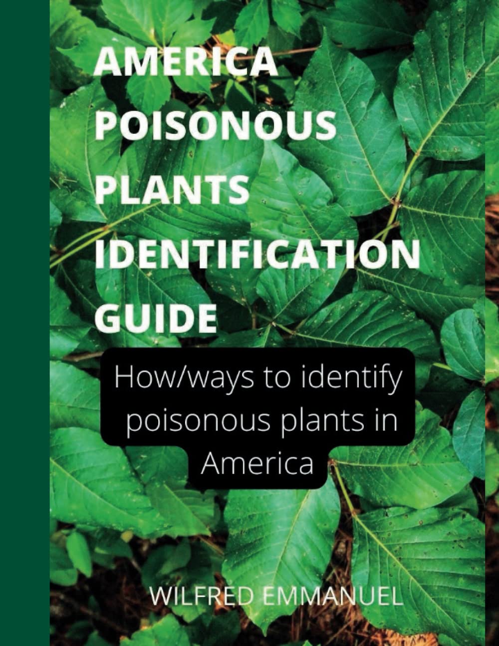 America Poisonous Plants Identification Guide How Ways To Identify ...