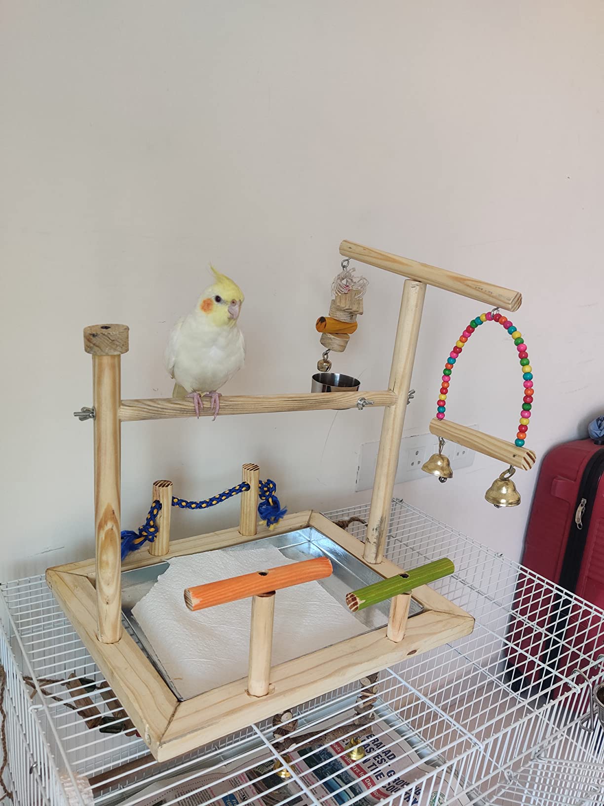 Bird Playstand Parrot Budgies Cockatiel Playground Wood Perch Gym ...