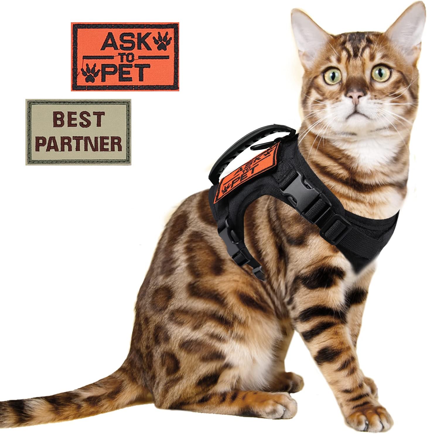 Tactical Large Cat Harness for Walking, Adjustable Escape Proof Pet ...