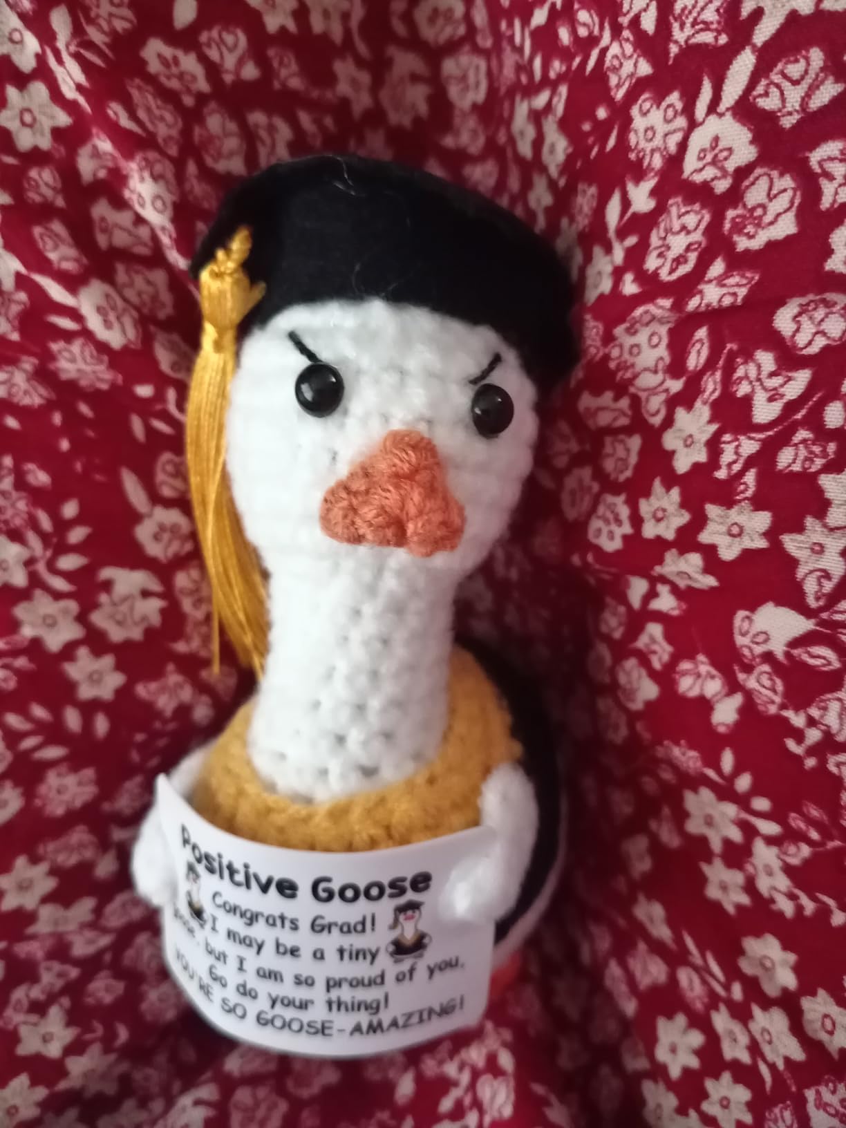 TOYMIS Graduation Goose Crochet, Emotional Doll Support Animal Crochet ...