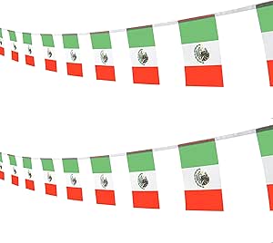 Amazon.com: Mexico Mexicans String Banner Flag,16 ft 20 Mini Flags ...