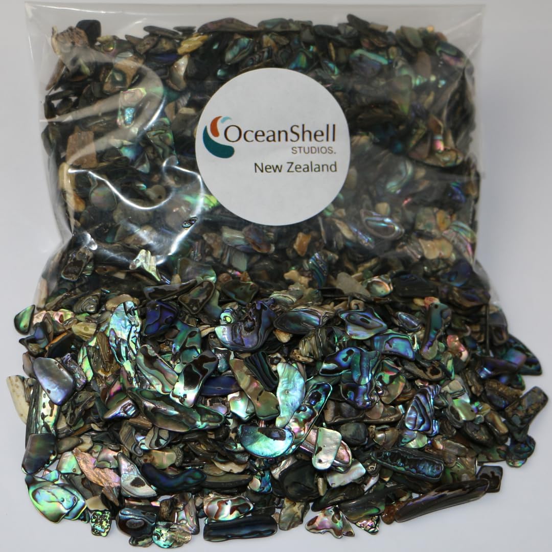 Amazon.com: Abalone (Pāua) Shell Pieces-7.05oz Pack-for Crafts, Jewelry ...