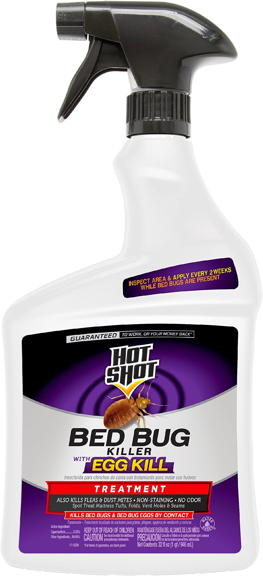 Amazon.com: Eco Defense Bed Bug Killer - USDA Biobased Dust Mite Spray ...