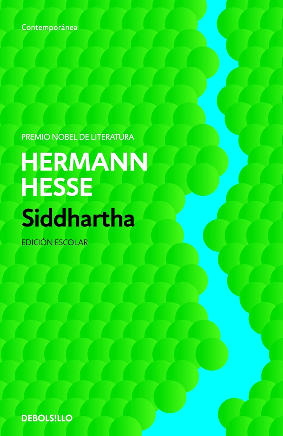 Amazon.com: Siddhartha: 9786073101523: Hesse, Hermann: Books
