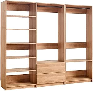Amazon.com: Benjara Dee Modular Closet System, 2 Clothing Racks, 2 ...