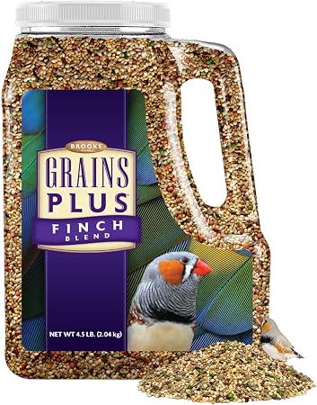 Amazon.com : Brooks Brand Grains Plus Finch Blend Bird Food, Nyjer ...