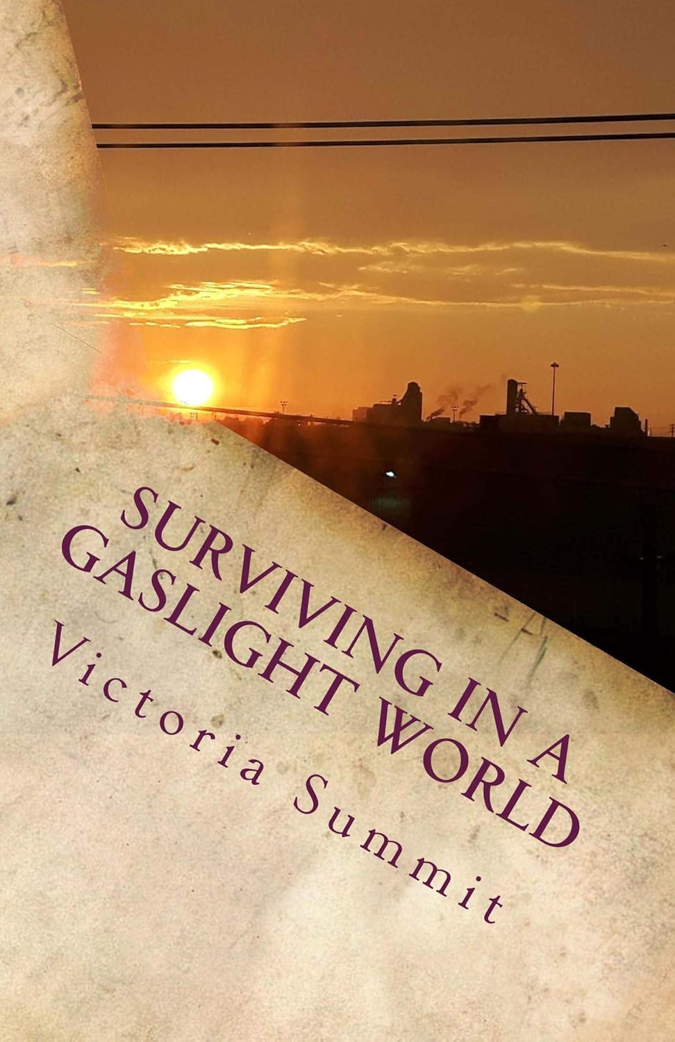 Amazon.com: Surviving in a Gaslight World (Gaslight Survivor Book 5 ...