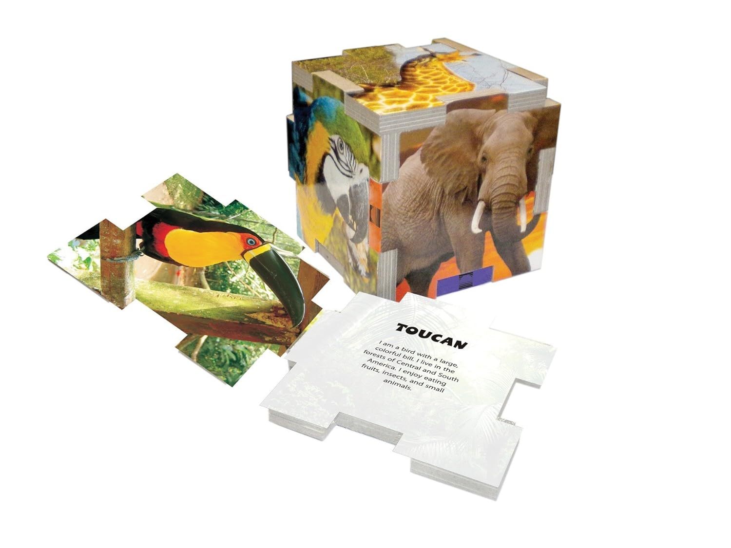 Cube Book: Bruin, Jessica: 9781770493254: Amazon.com: Books