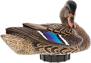 Avian-X Power Shaker/Mallard Hen PREENER, Decoys - Amazon Canada