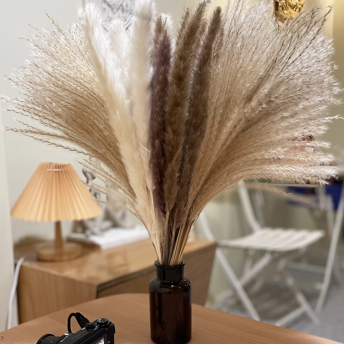Dried Pampas Grass Total 60pcs Pompous Grass (15pcs Brown Pampas ...