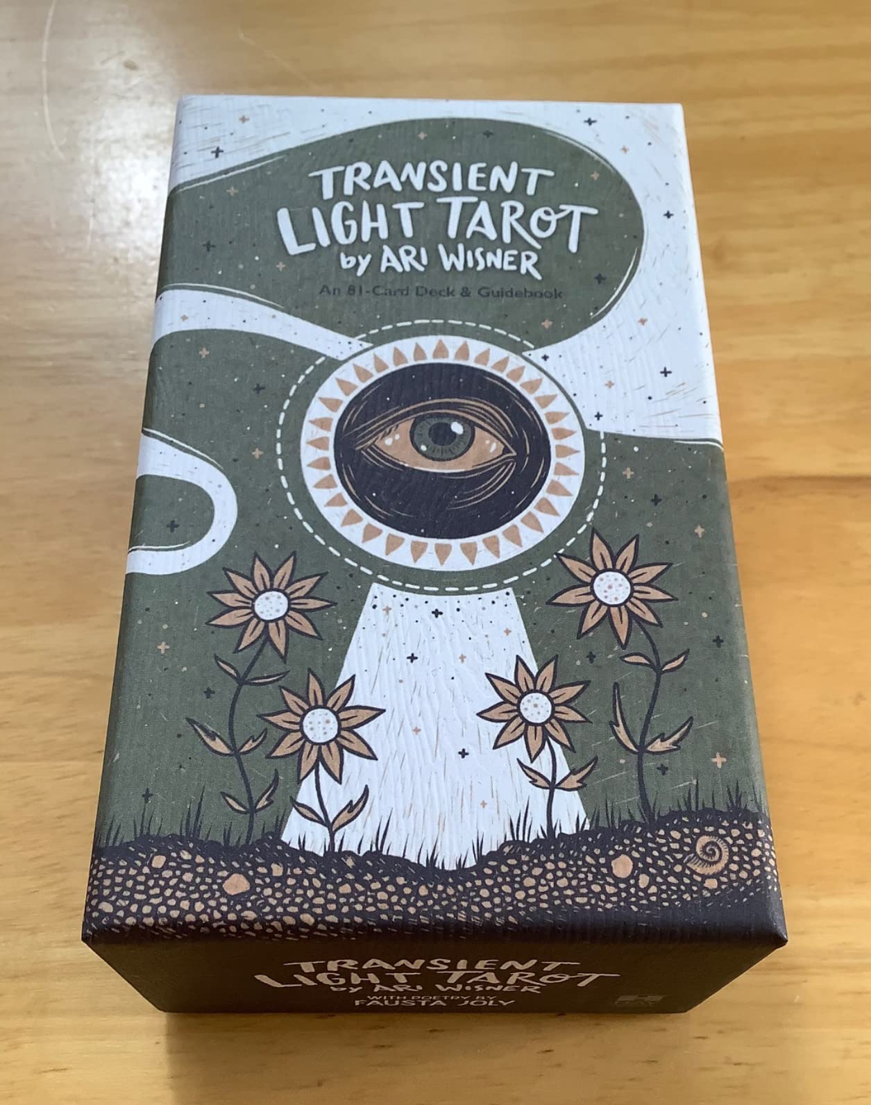 Amazon | Transient Light Tarot: An 81-card Deck and Guidebook | Wisner ...