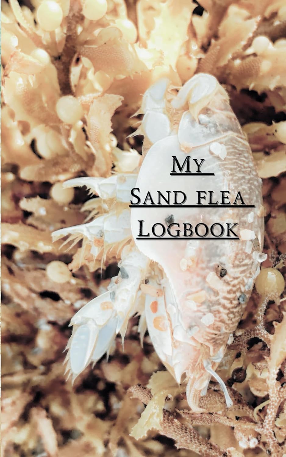 My Sand Flea Logbook: Panetta, Diane: Amazon.com: Books