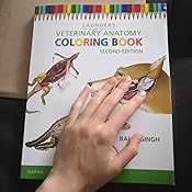 Veterinary Anatomy Coloring Book : Saunders, .: Amazon.de: Bücher
