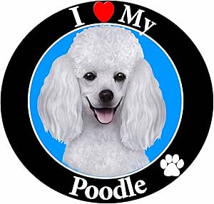 Amazon.com: E & S Pets Car Magnet, Poodle, White : Automotive