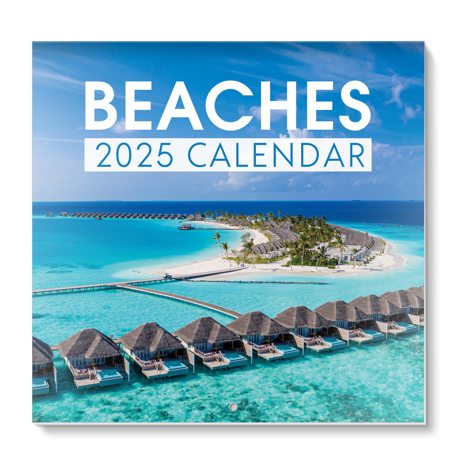 Amazon.com: SKYDUE 2025 Wall Calendar 12" x 12", 14-Month Calendar with ...