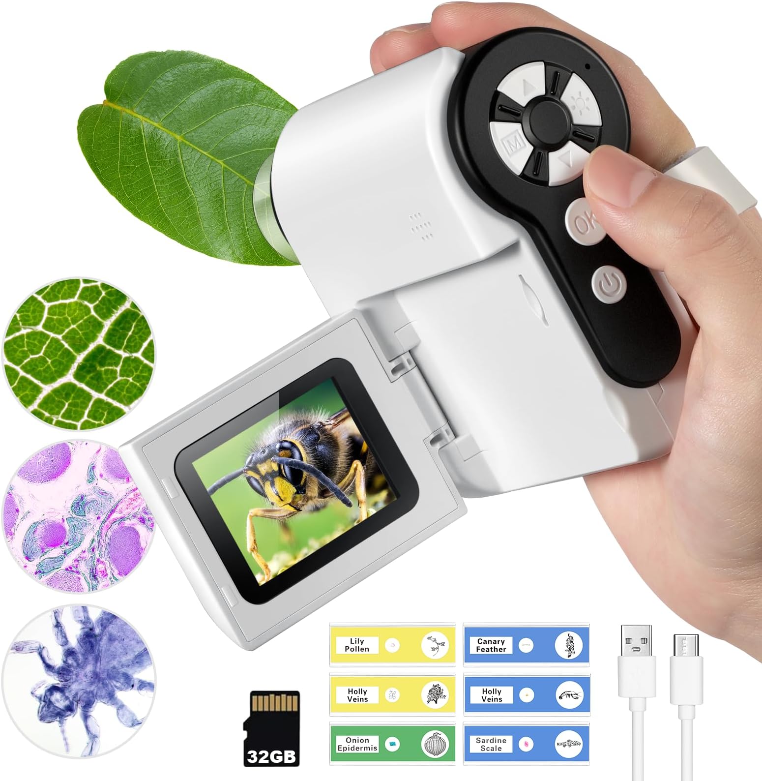 Amazon.com : Handheld Microscope for Kids, 1000x Pocket Portable ...