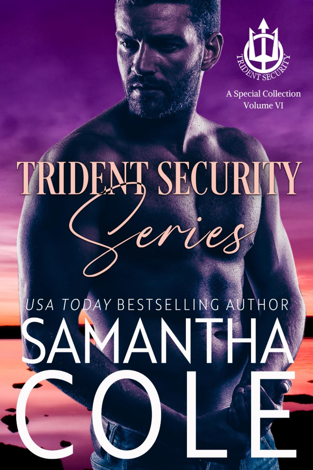 Trident Security Series: A Special Collection Volume VI: Amazon.co.uk ...
