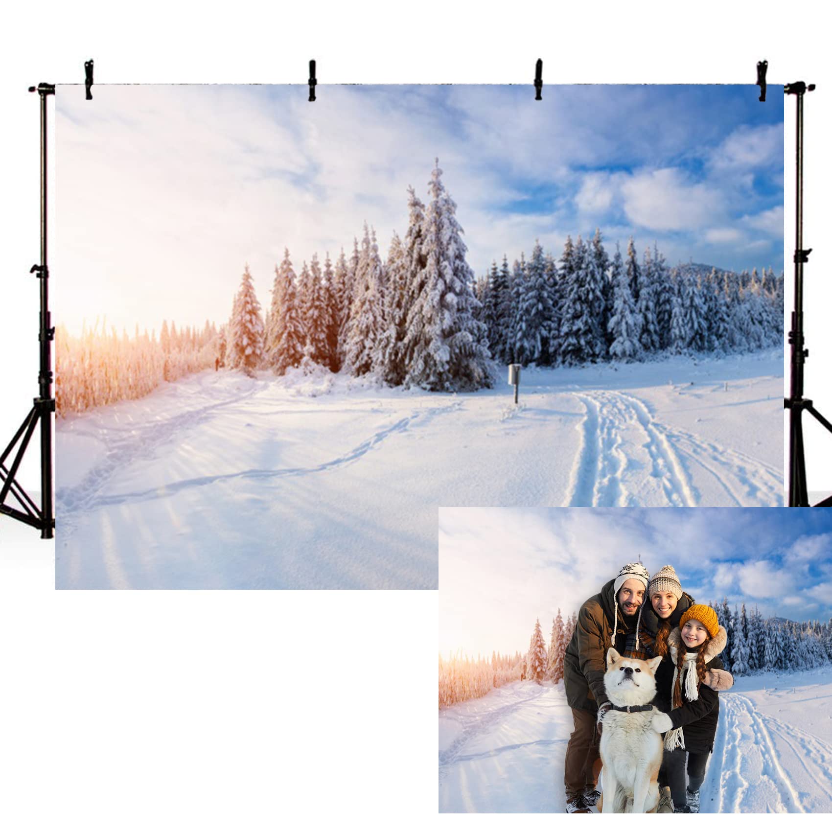 Winter Snow Banner