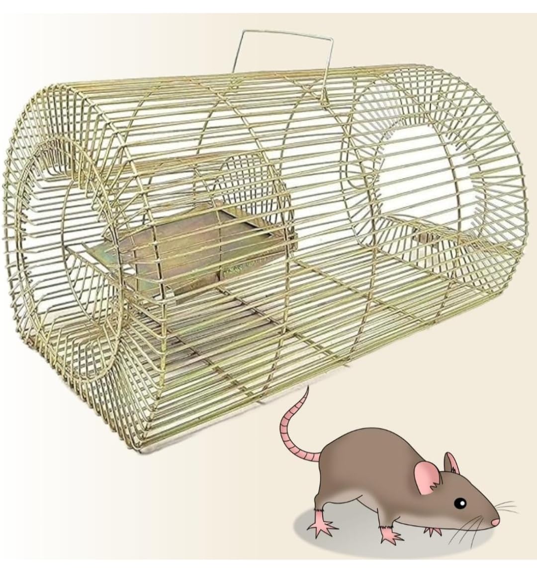 EDEN BLOOM Rat, Rodent, Mouse Trap/Catcher Iron Big Size - Ultimate ...