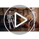 Amazon.com: 5.9Ft Halloween Skeleton Posable Skeleton Life Size ...