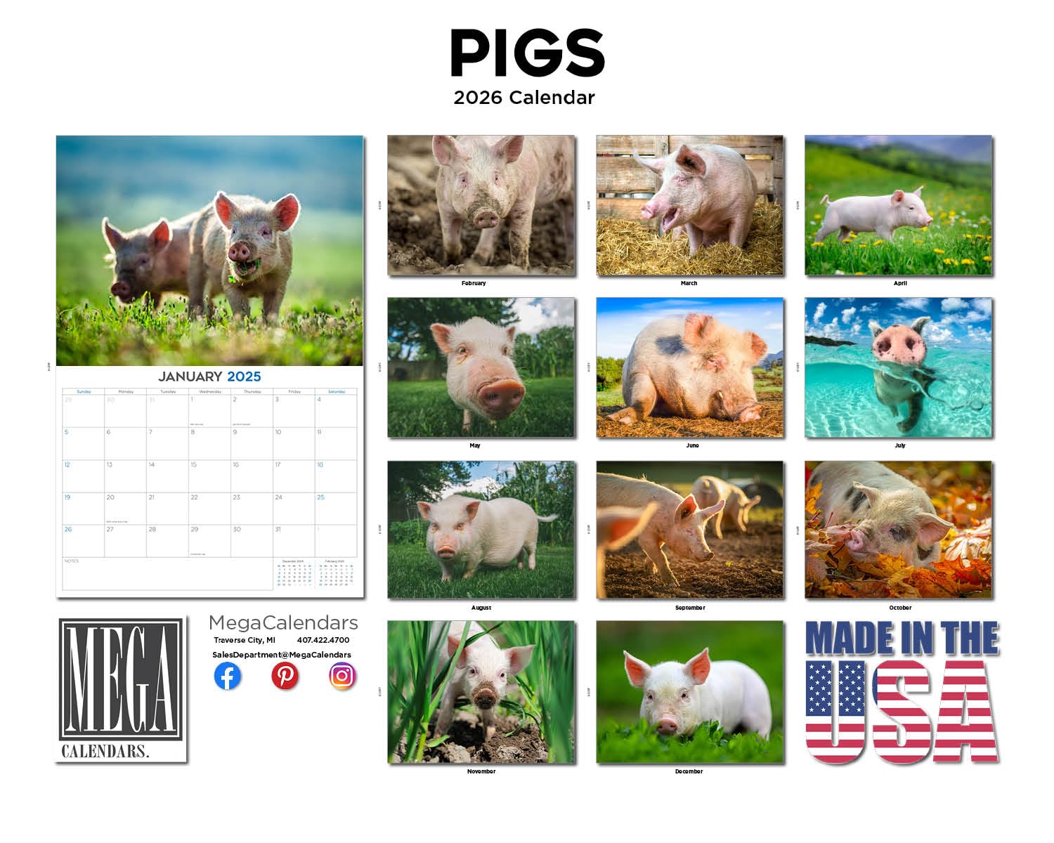Snapklik.com : 2025 2026 Pigs Calendar - Cute Farm Animal Monthly Wall ...