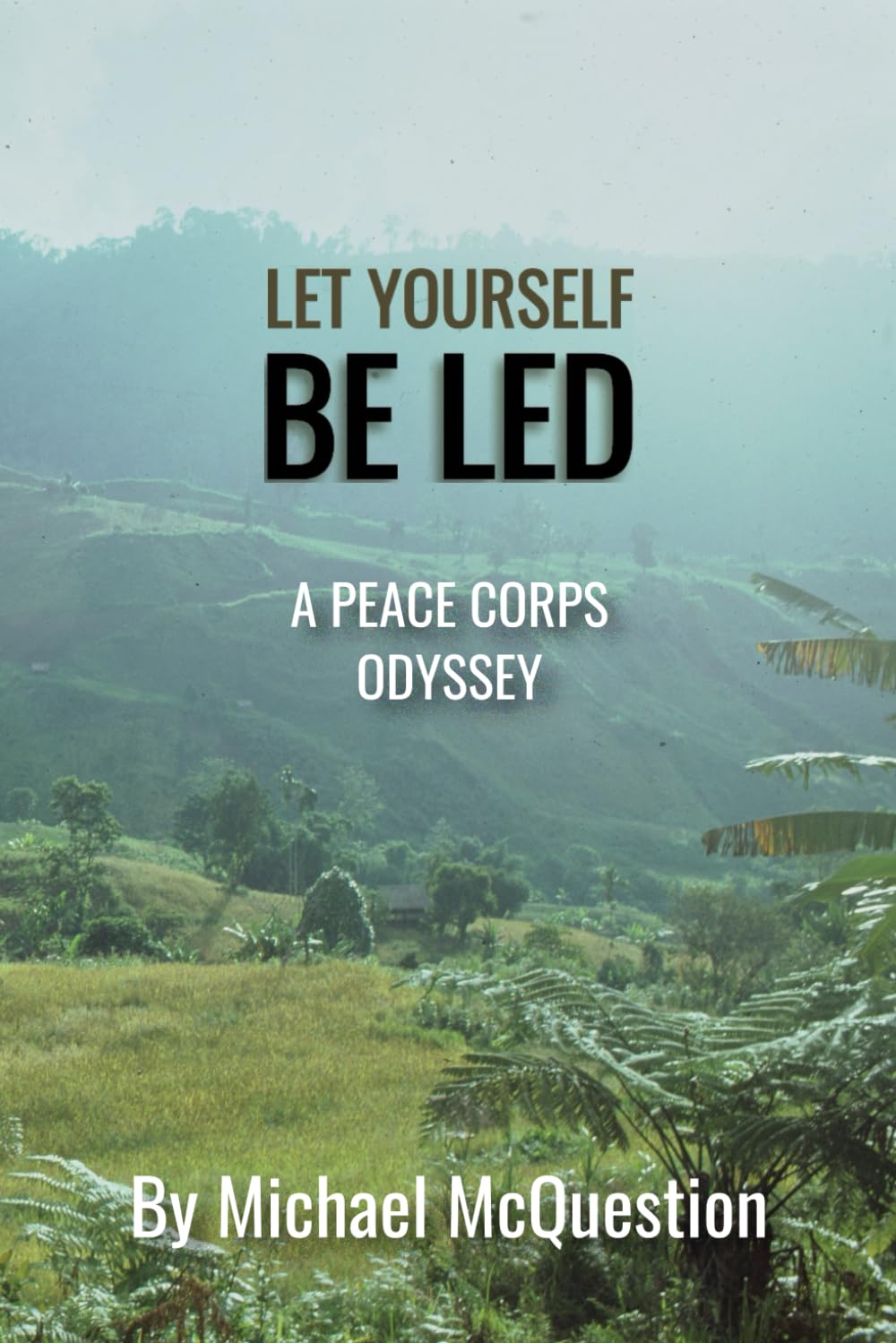 Let Yourself be Led: A Peace Corps Odyssey: McQuestion, Michael ...