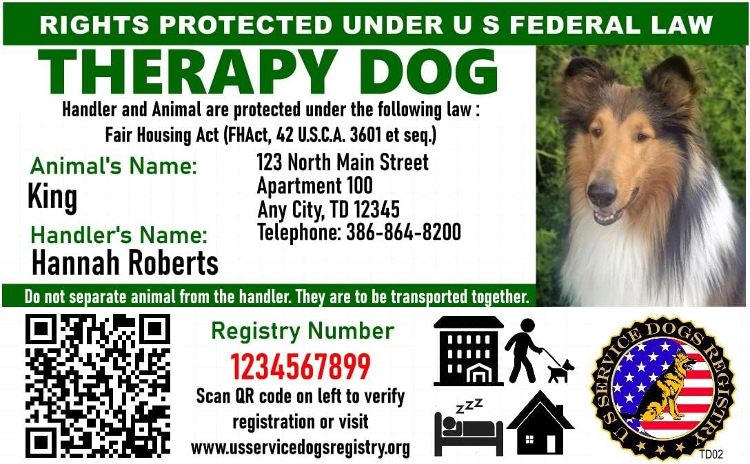 Amazon.com : Just 4 Paws Custom Therapy Dog ID Card with QR Code and ...