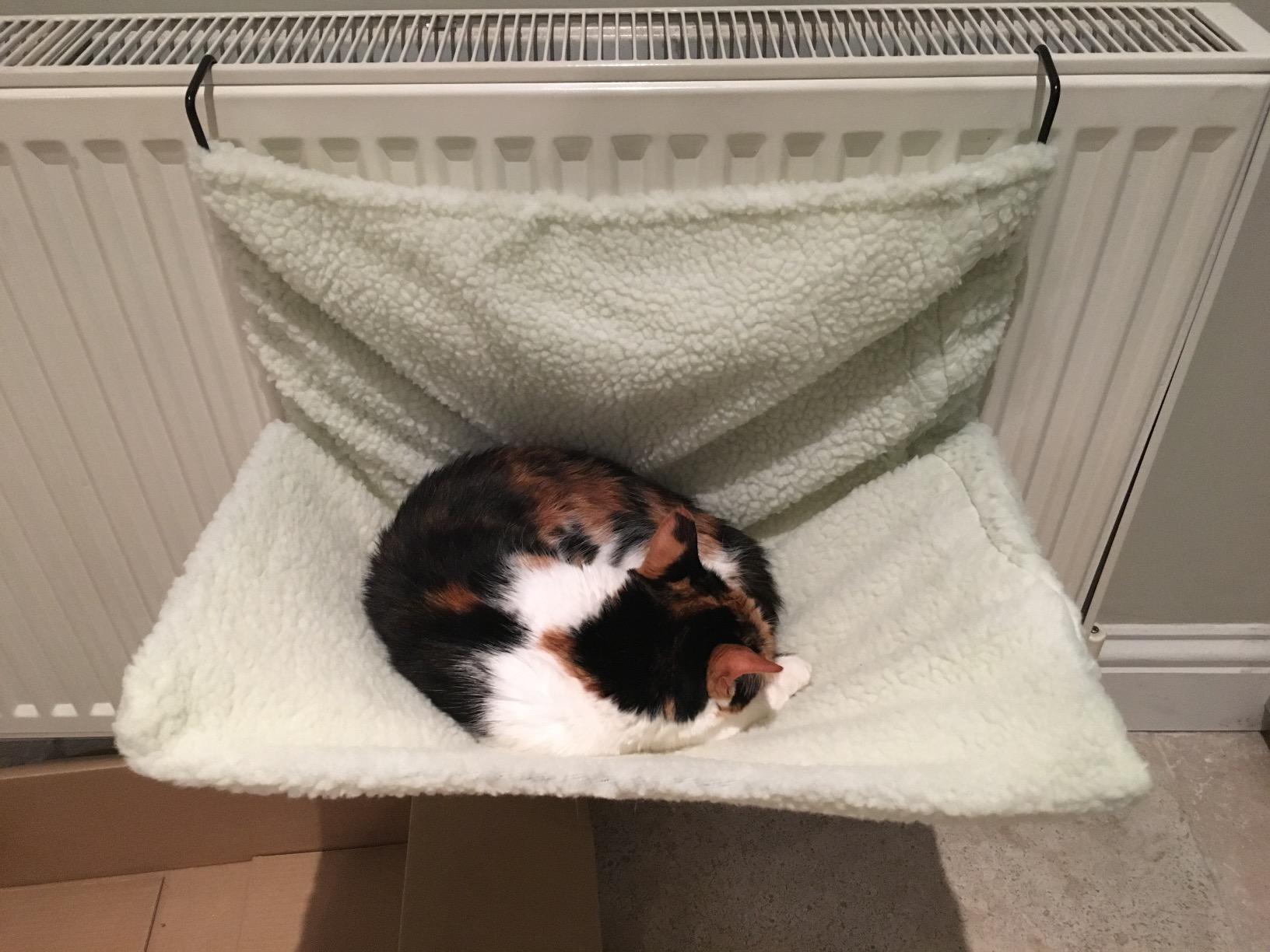 PMS SUSPENDED CAT BED-FOR RADIATOR IN COLOUR BOX : Amazon.co.uk