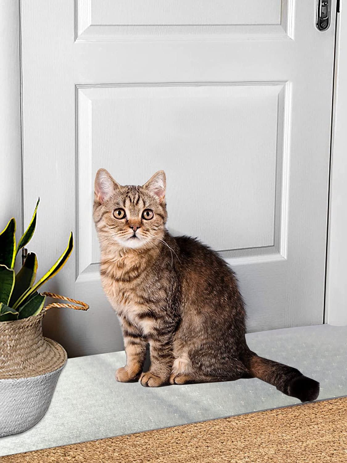 Cat Carpet Doorway Protector Carpet Scratch Stopper Stop Cats from ...