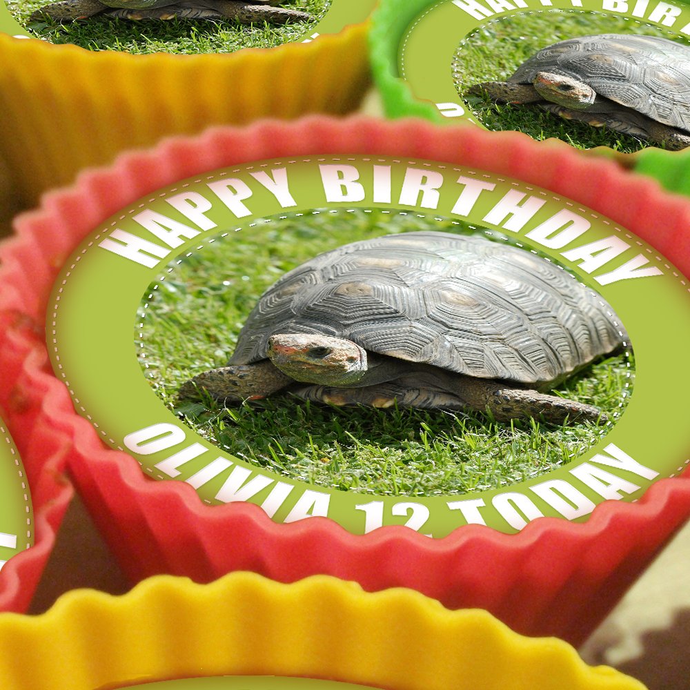 20 x Personalised Tortoise 5cm High Resolution Cupcake Toppers : Amazon ...