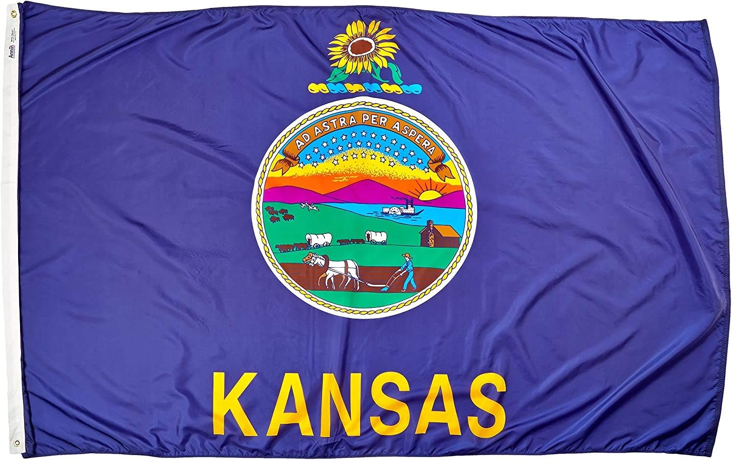 Amazon.com: Annin Flagmakers Kansas State Flag USA-Made to Official ...