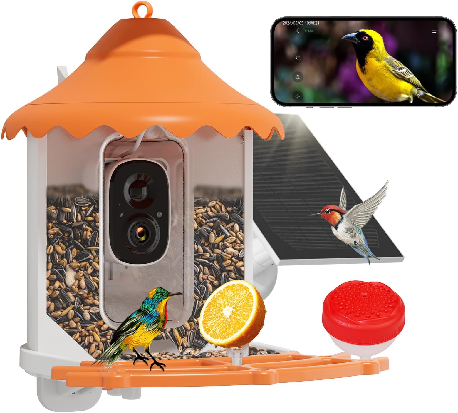 Amazon.com : Smart Bird Feeder with Camera, Solar Powered, AI Identify ...