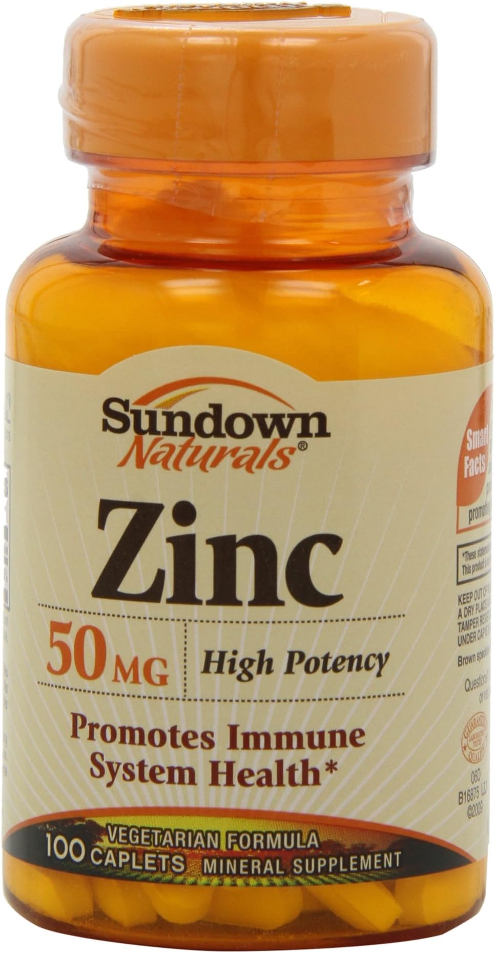 Amazon.com: Sundown High Potency Zinc 50 mg, Tablets, 100 tablets (Pack ...