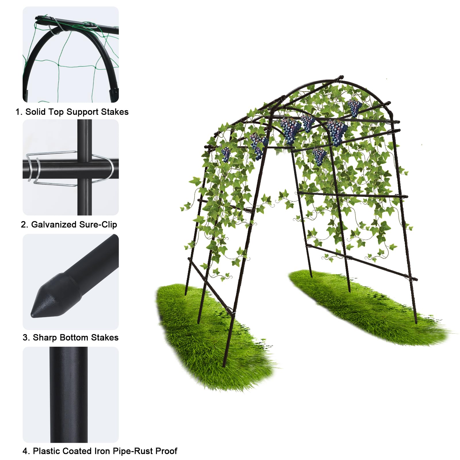 Snapklik.com : Garden Arch Trellis Cucumber Trellis For Climbing Plants ...