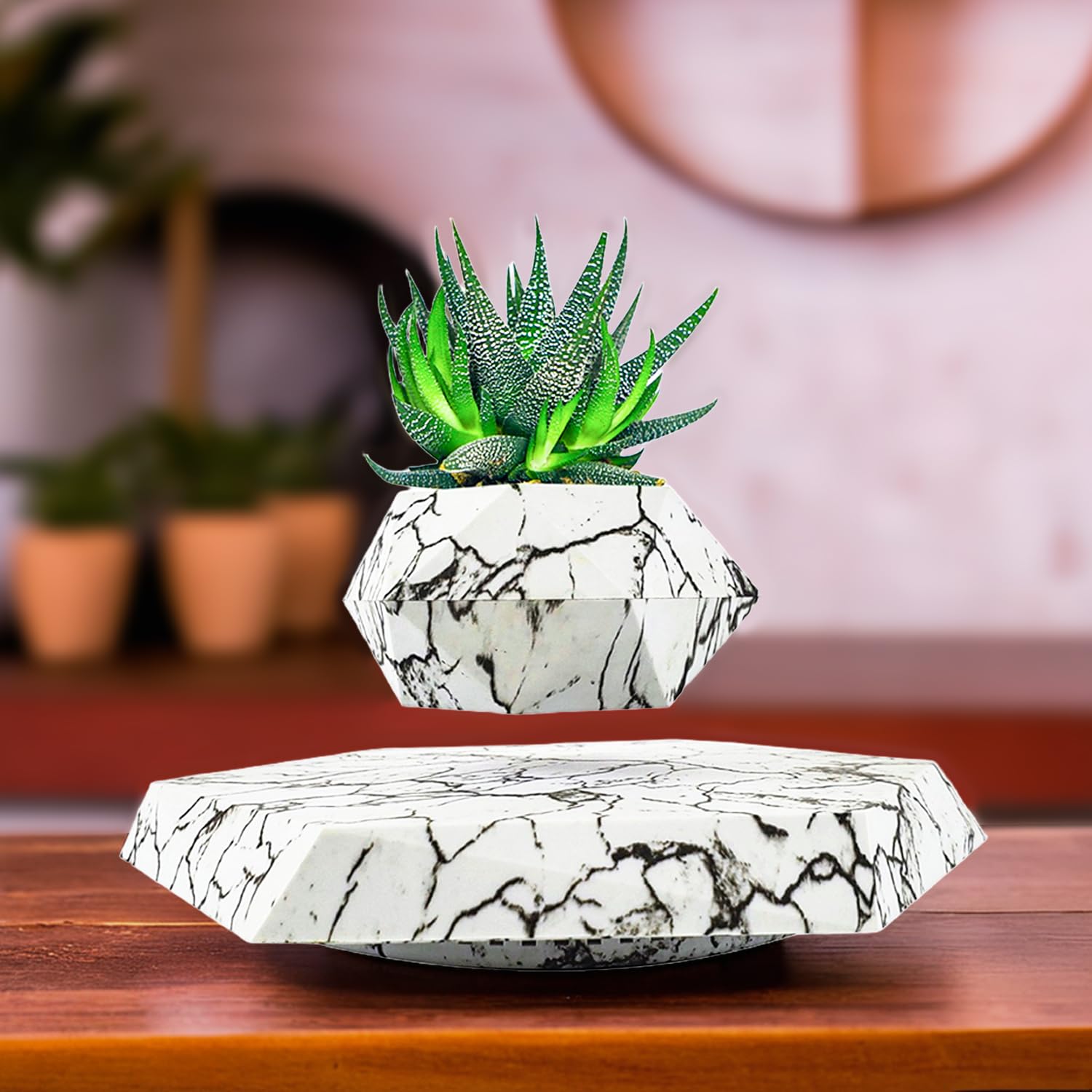 Ekhasa Nostrae White Magnetic Levitating Flower Pot | Levitating Plant ...