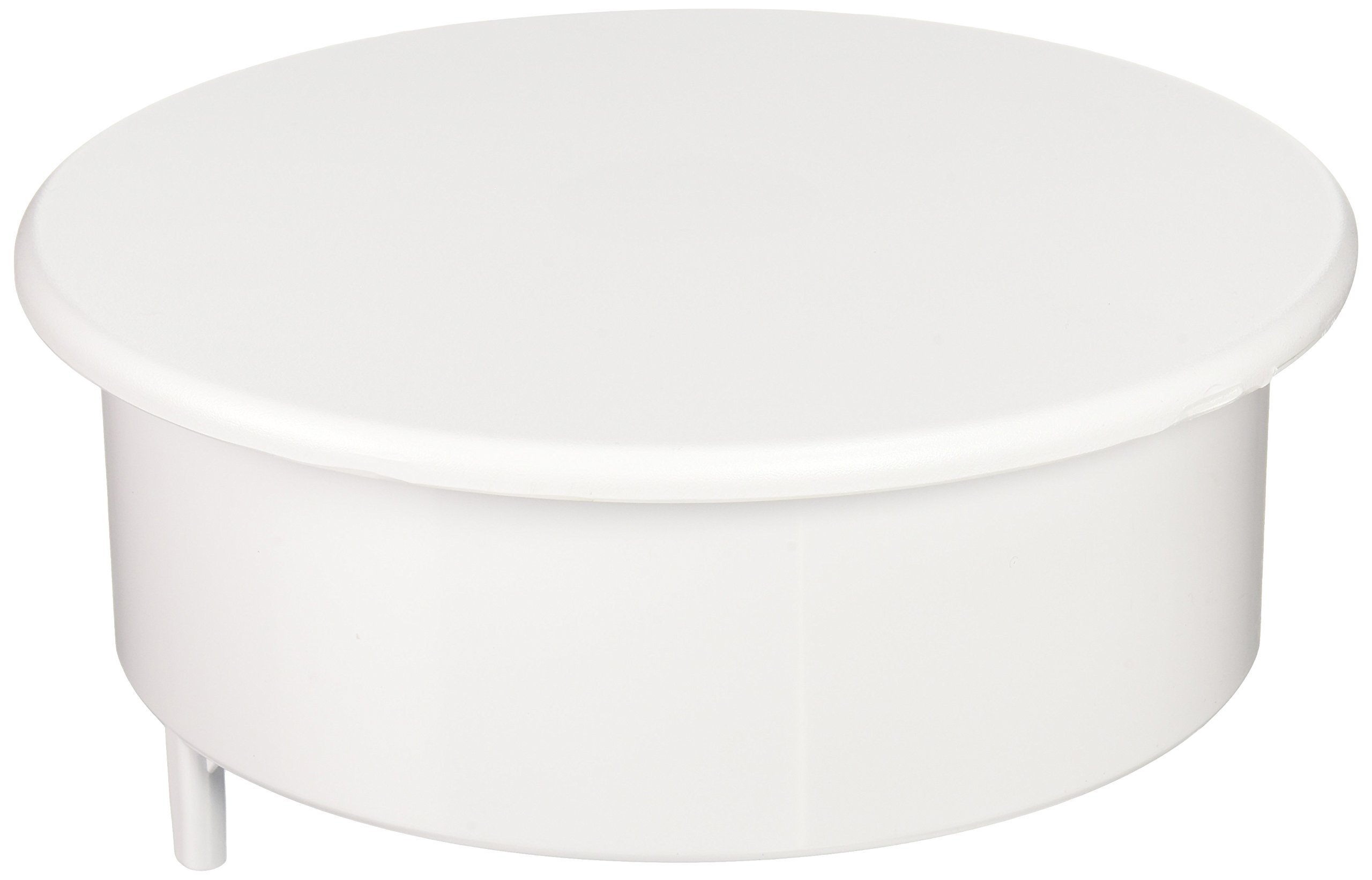 Amazon.com: Pentair R172542WH White Niche Cover Assembly Replacement ...