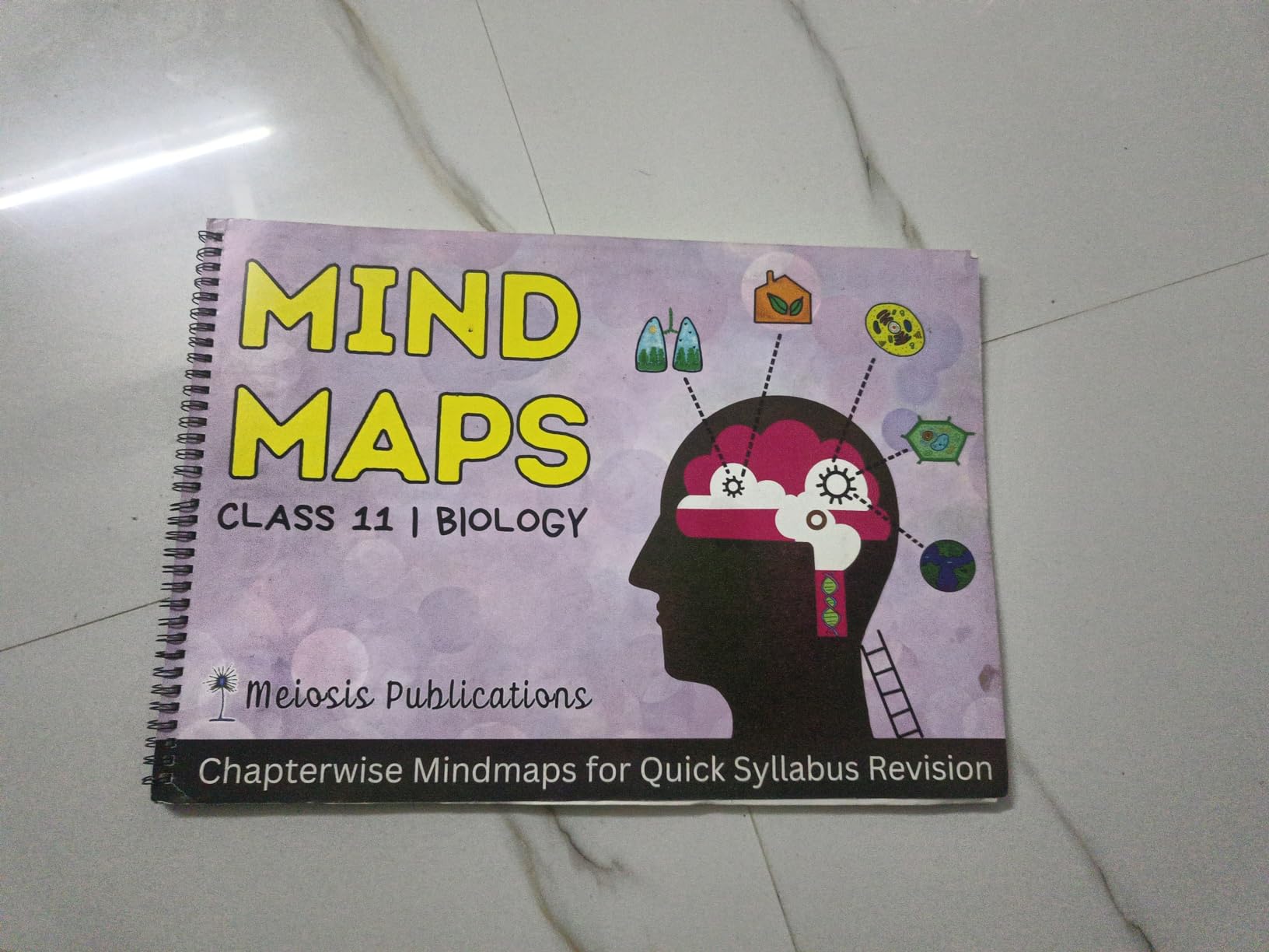 NEET UG Mind Maps for Biology Class 11 Preparation | Meiosis ...