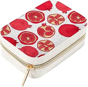 Amazon.com: Double Layer Portable Travel Mini Jewelry Case Display ...