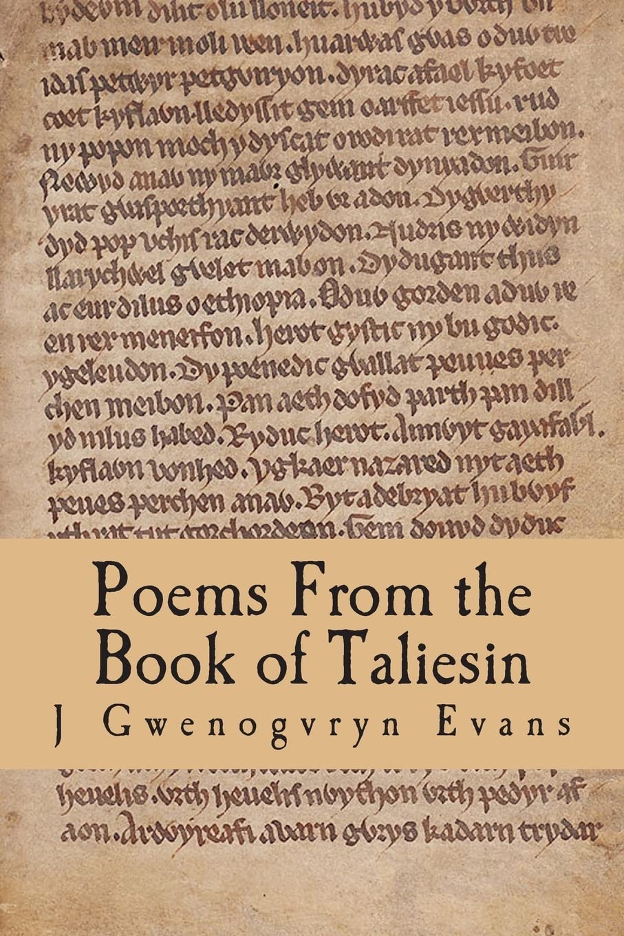 Amazon.com: Poems From the Book of Taliesin: 9781906834234: Evans, J ...
