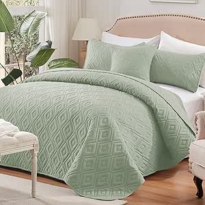 Amazon.com: COZYART sage Green Quilt Set Queen Size : Home & Kitchen