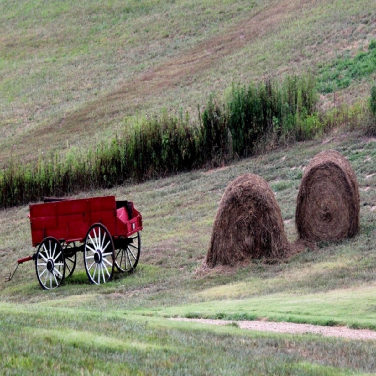 Ain't My Problem song by Cain Walker from Freedom [Explicit] on Amazon ...