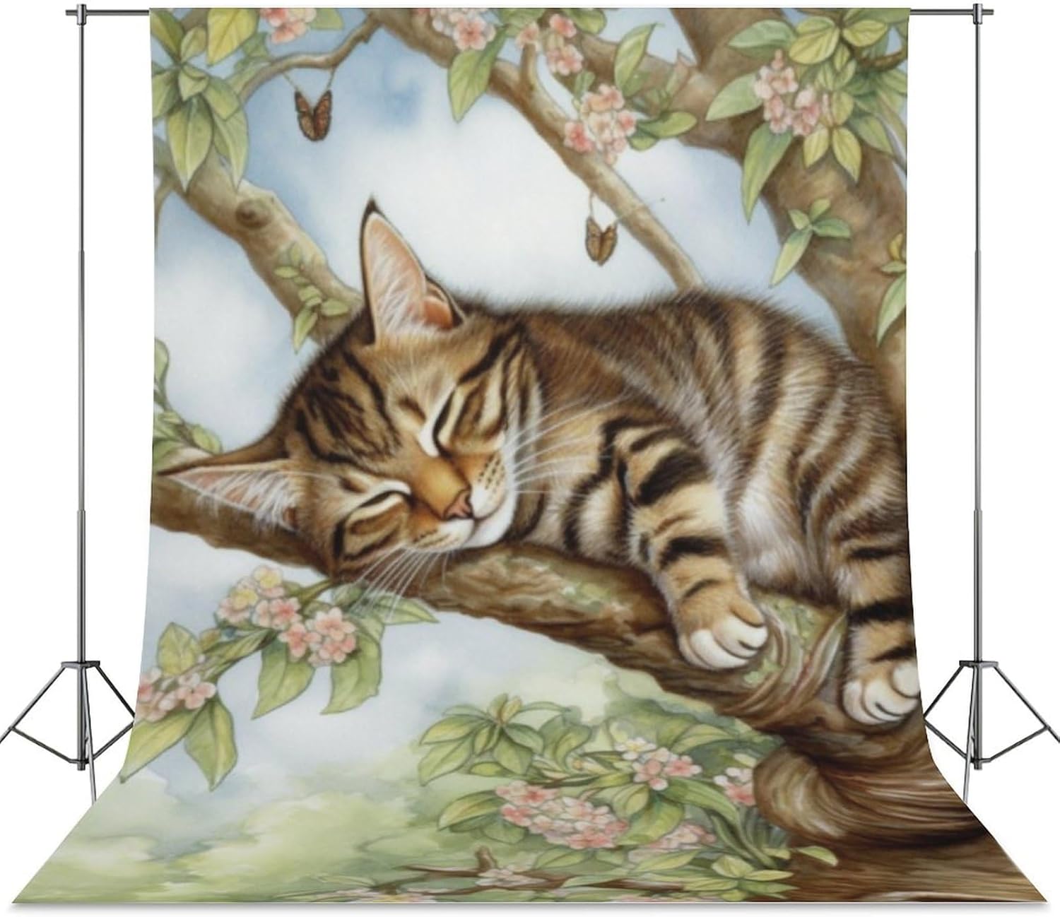 Amazon.com : Cat Sleep Vintage Photo Banner Backdrop Backdrop 7Wx5H Ft ...