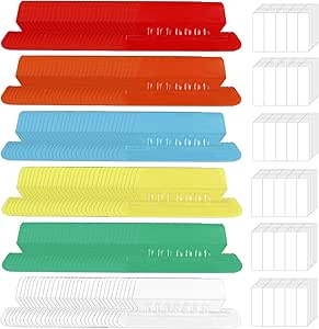 Amazon.com : 60pcs Folder Tabs & 120 Inserts, Multicolour Plastic File ...