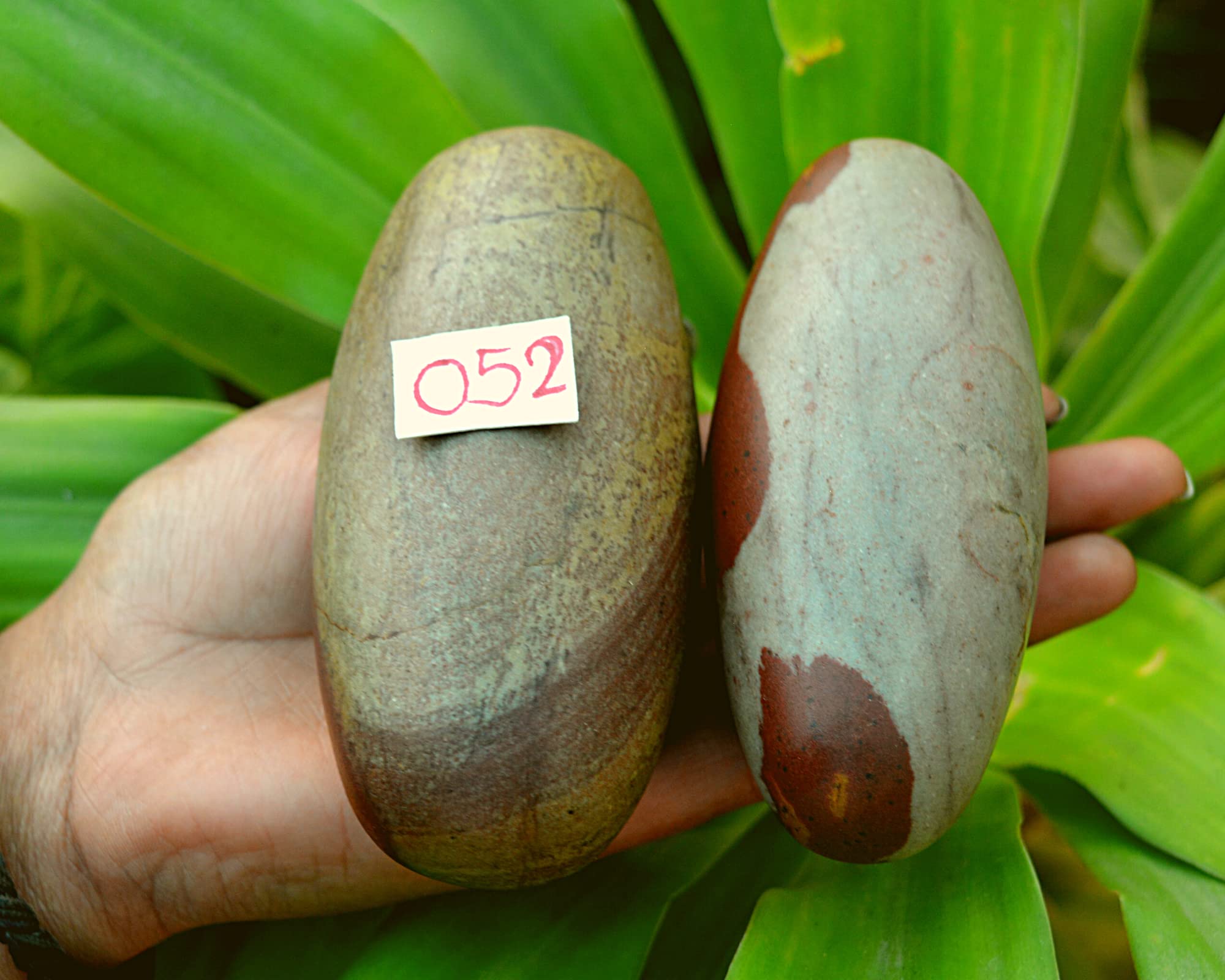 4 5 4inch Rare Large Shiva Lingam Narmada Shiva Lingam | Desertcart ...