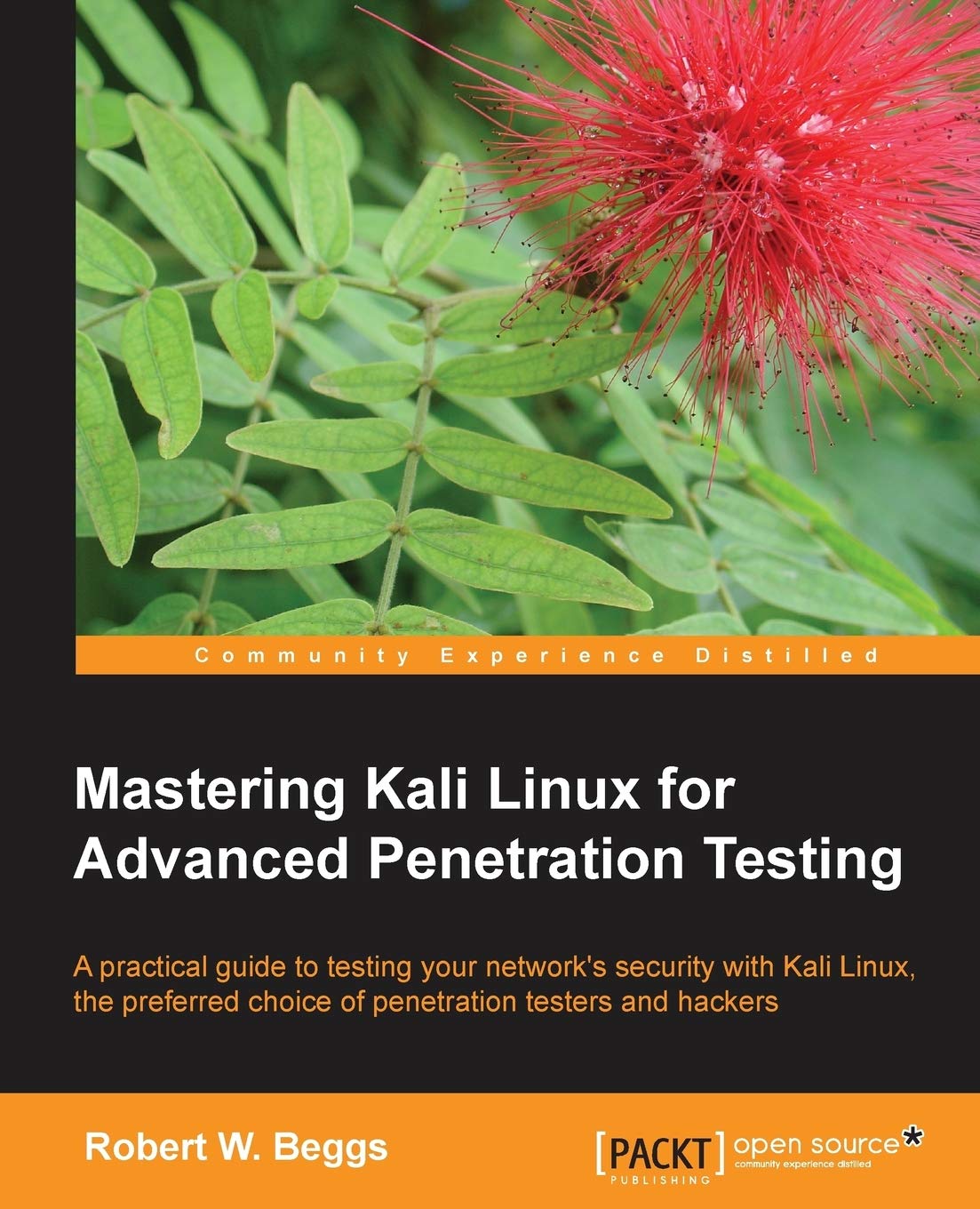 Mastering Kali Linux for Advanced Penetration Testing: Beggs, Robert W ...